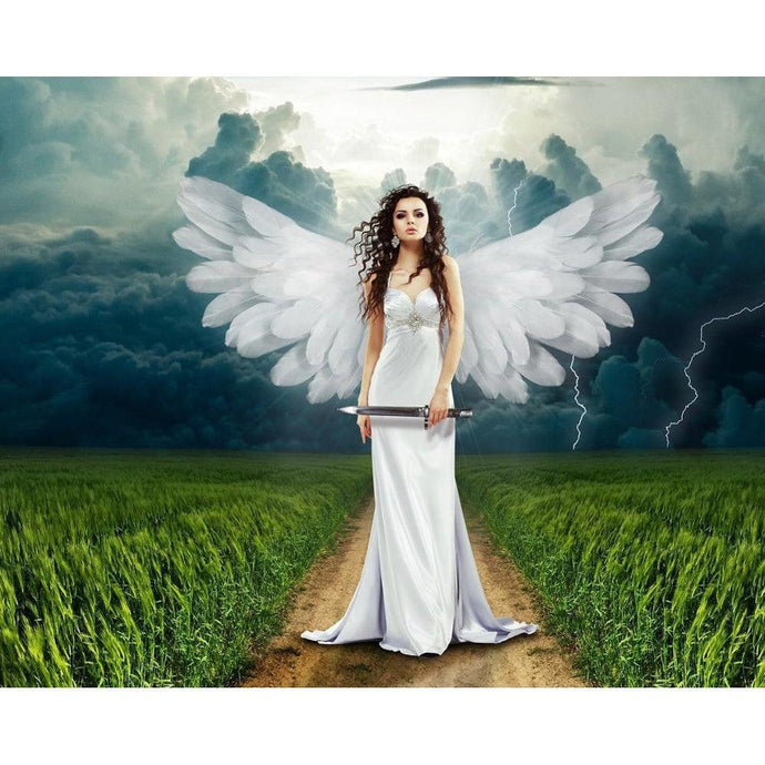 DIY Paint by Number kit for Adults on Canvas-Warrior Angel-Paint By Number